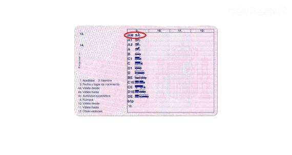 Licencia AM de la DGT | Noticias coches.net