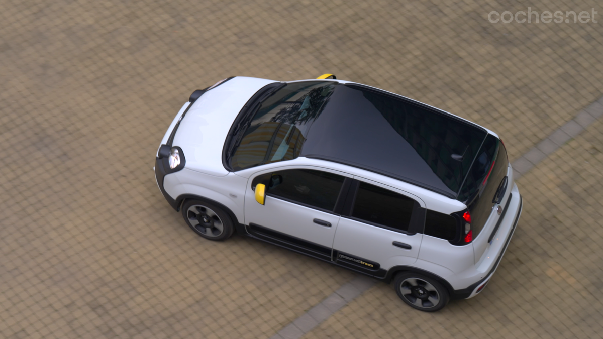 Fiat Pandina: Serie especial del Fiat Panda | Noticias coches.net